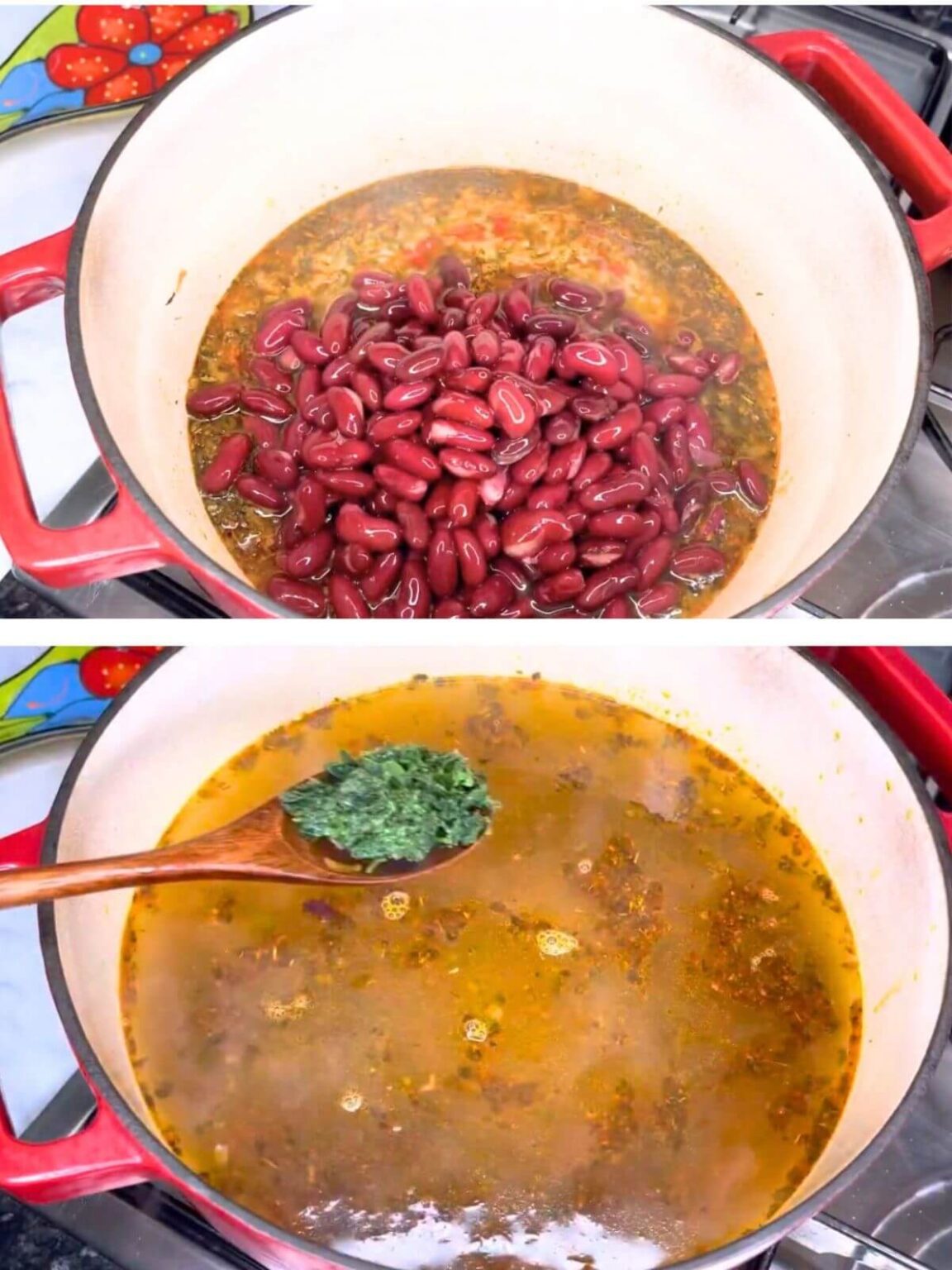 Traditional Romanian Bean Soup (Ciorba De Fasole) - JoinYourLife4U