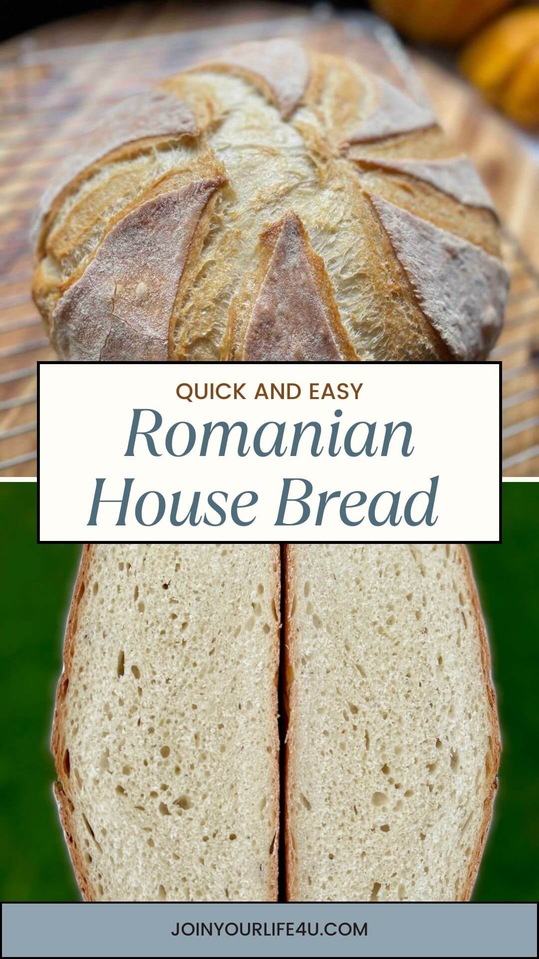 Romanian House Bread (Paine de casa): An Easy Rustic Recipe ...