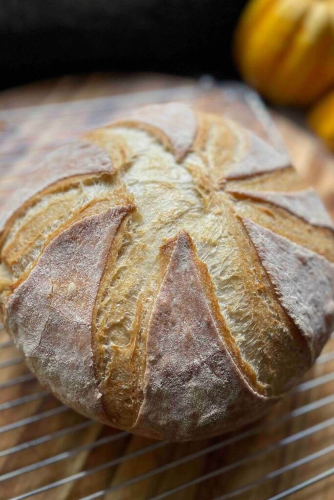Romanian House Bread (Paine de casa): An Easy Rustic Recipe ...