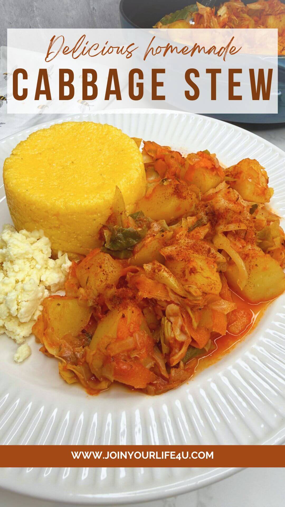 Easy Cabbage and Potato Stew (Romanian Tocăniță de Varză) - JoinYourLife4U