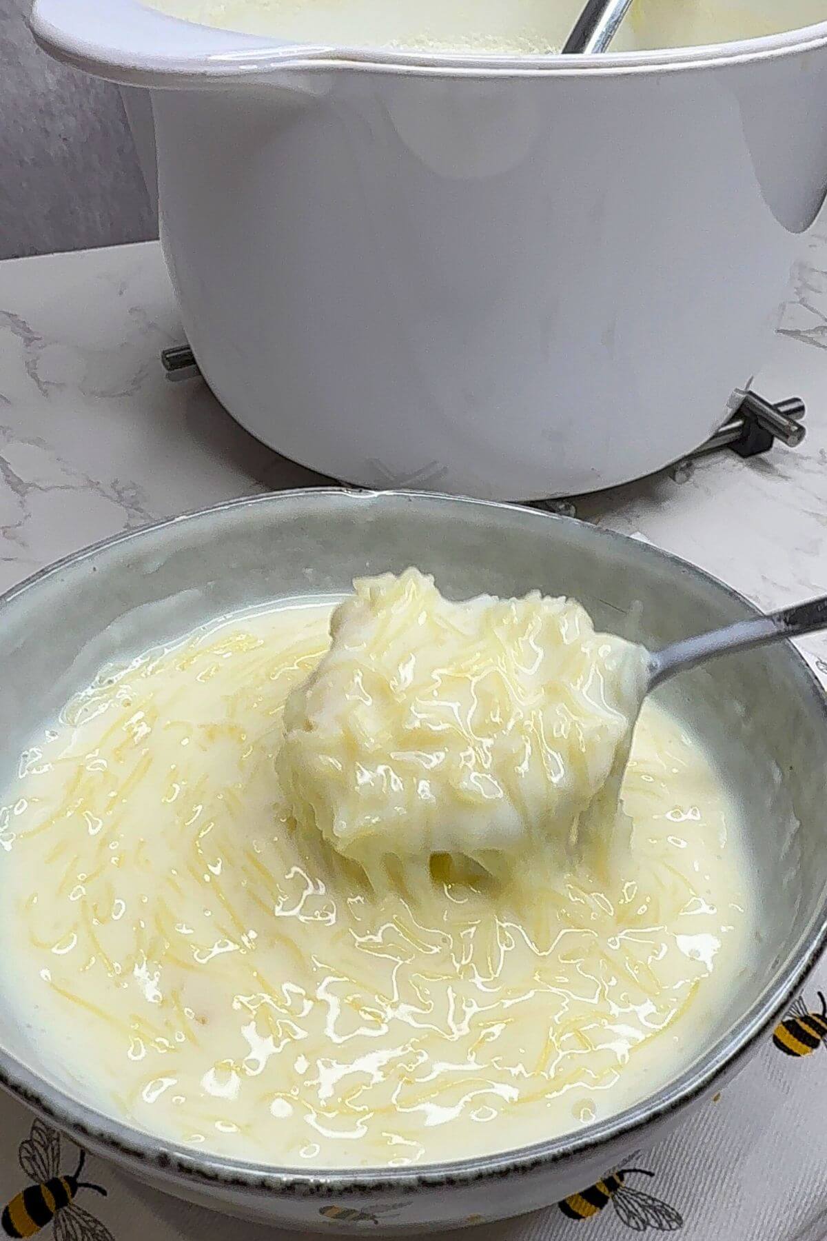 Romanian Vermicelli with Milk – Fidea cu Lapte - JoinYourLife